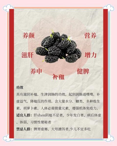 桑葚的功效与作用有哪些_桑葚怎么吃最养生-第3张图片-山城妙识