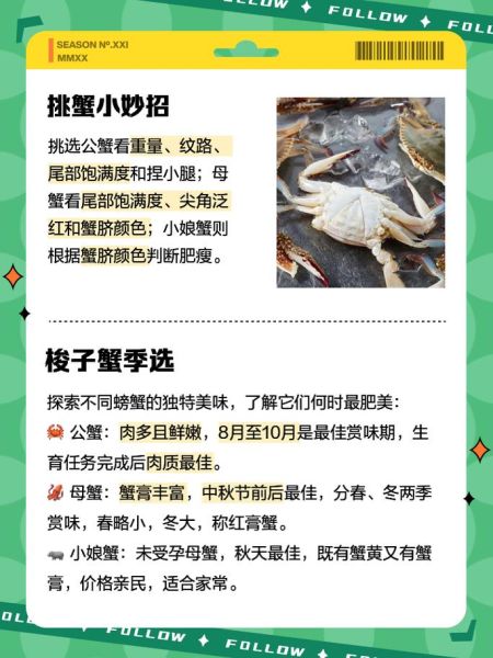 梭子蟹图片大全大图真实_梭子蟹怎么分辨公母-第1张图片-山城妙识