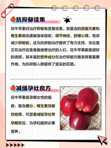 花牛苹果的营养价值_花牛苹果适合什么人吃-第2张图片-山城妙识