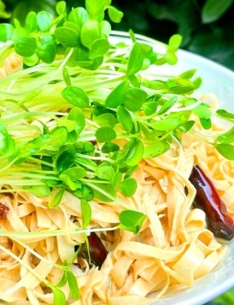 香椿苗怎么做好吃_凉拌香椿苗的做法窍门-第1张图片-山城妙识