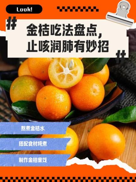 金桔怎么吃最好_金桔的正确吃法-第2张图片-山城妙识 金桔怎么吃最好_金桔的正确吃法-第2张图片-山城妙识