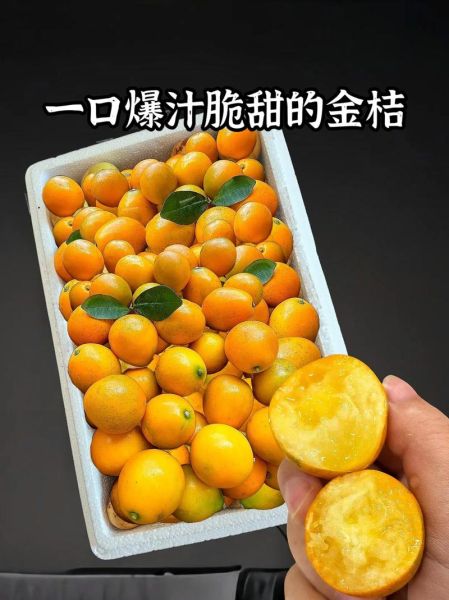 金桔怎么吃最好_金桔的正确吃法-第3张图片-山城妙识 金桔怎么吃最好_金桔的正确吃法-第3张图片-山城妙识