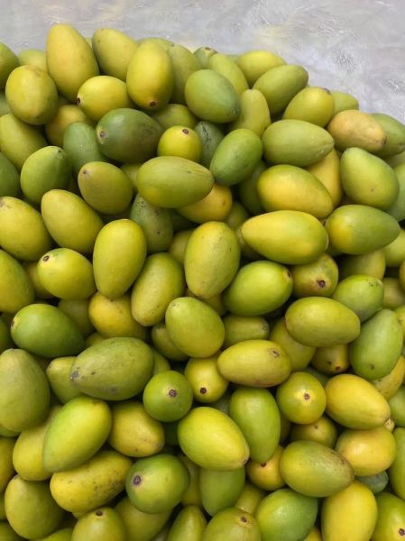 橄榄价格多少钱一斤_新鲜橄榄批发价行情-第1张图片-山城妙识