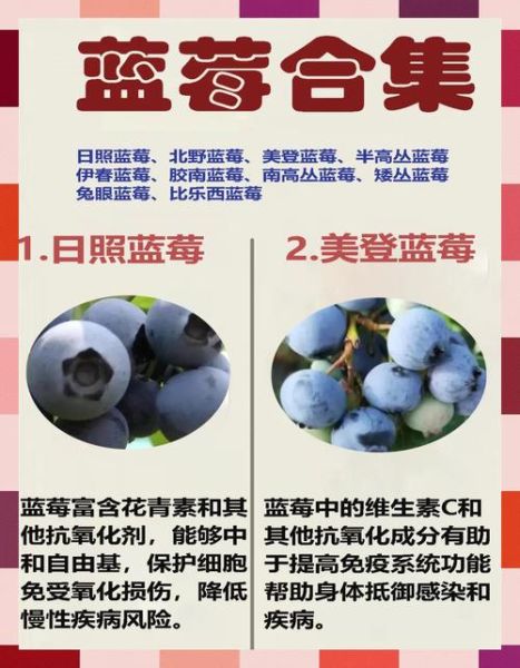 女人吃蓝莓的禁忌_蓝莓对女性的副作用-第1张图片-山城妙识 女人吃蓝莓的禁忌_蓝莓对女性的副作用-第1张图片-山城妙识