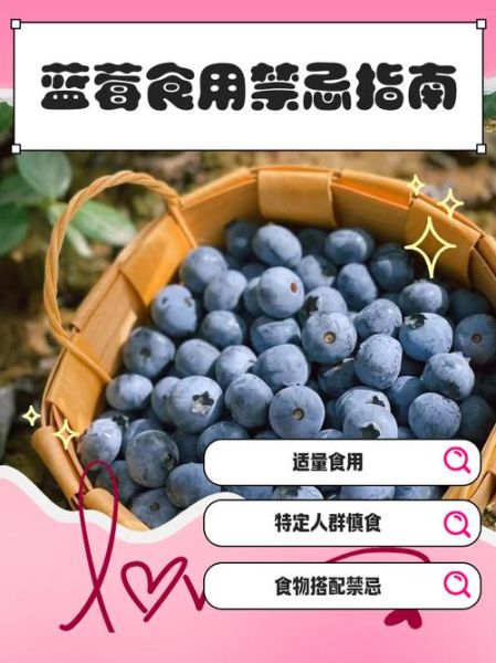 女人吃蓝莓的禁忌_蓝莓对女性的副作用-第3张图片-山城妙识 女人吃蓝莓的禁忌_蓝莓对女性的副作用-第3张图片-山城妙识