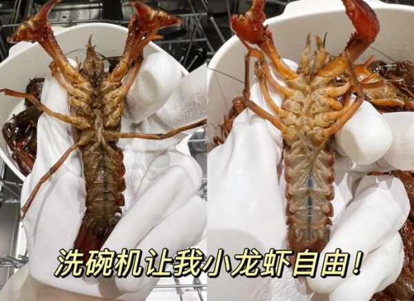 小龙虾怎么清洗_小龙虾清洗做法视频-第1张图片-山城妙识