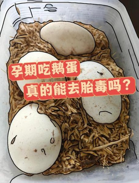 鹅蛋去胎毒是真的吗_孕妇吃鹅蛋最佳时间-第1张图片-山城妙识