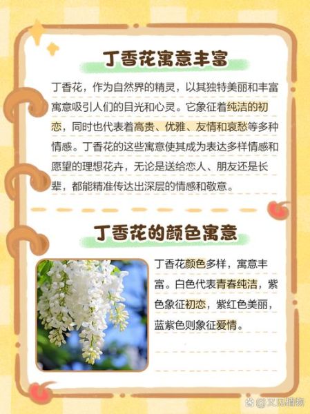 丁香结寓意是什么_丁香结象征爱情吗-第1张图片-山城妙识