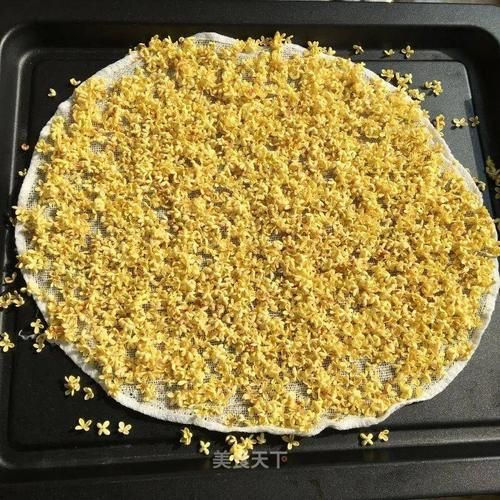 桂花蜜_居无竹txt下载地址在哪-第1张图片-山城妙识 桂花蜜_居无竹txt下载地址在哪-第1张图片-山城妙识