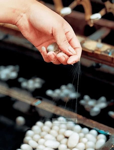 蚕茧怎么抽丝_蚕茧抽丝全过程-第2张图片-山城妙识 蚕茧怎么抽丝_蚕茧抽丝全过程-第2张图片-山城妙识