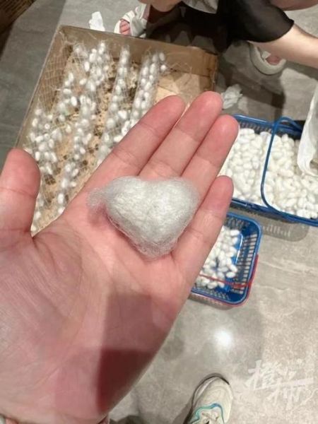 蚕茧怎么抽丝_蚕茧抽丝全过程-第3张图片-山城妙识 蚕茧怎么抽丝_蚕茧抽丝全过程-第3张图片-山城妙识