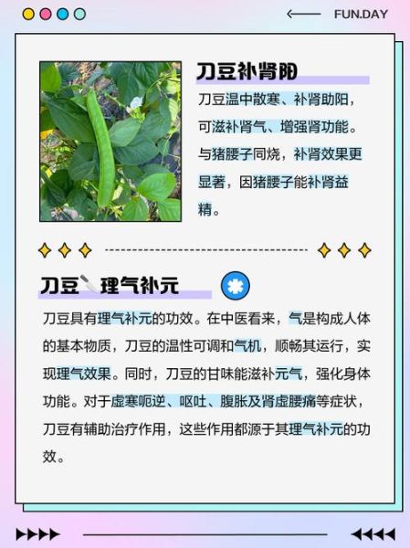 刀豆素的功效与作用_刀豆素能治什么病-第1张图片-山城妙识 刀豆素的功效与作用_刀豆素能治什么病-第1张图片-山城妙识