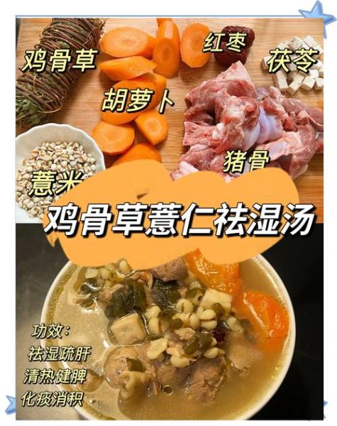 除湿汤方歌是什么_除湿汤适合哪些人喝-第2张图片-山城妙识