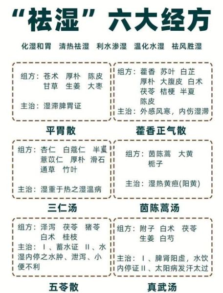 除湿汤方歌是什么_除湿汤适合哪些人喝-第1张图片-山城妙识