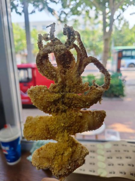 轰炸大鱿鱼怎么做_轰炸大鱿鱼的家常做法-第1张图片-山城妙识