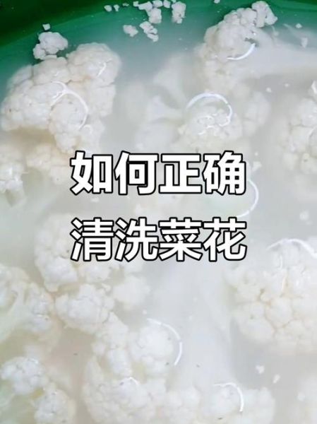 菜花怎么洗才干净_菜花清洗的正确方法-第2张图片-山城妙识 菜花怎么洗才干净_菜花清洗的正确方法-第2张图片-山城妙识