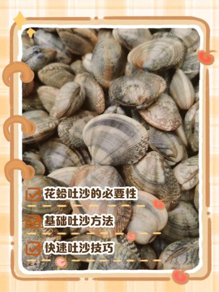 花蛤怎么清洗才干净_花蛤去沙最快的方法-第3张图片-山城妙识