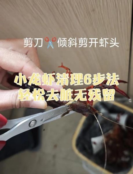 龙虾怎么处理_龙虾清洗步骤-第3张图片-山城妙识