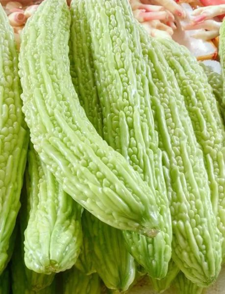苦瓜怎么吃好吃又营养_苦瓜的营养价值及功效-第2张图片-山城妙识 苦瓜怎么吃好吃又营养_苦瓜的营养价值及功效-第2张图片-山城妙识