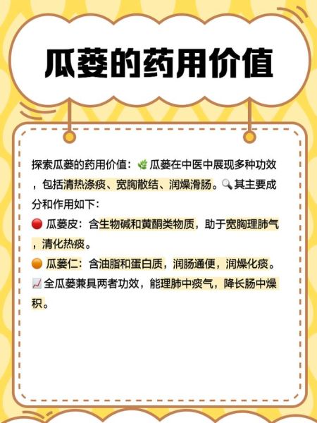 全瓜蒌别名有哪些_全瓜蒌与瓜蒌皮区别-第1张图片-山城妙识 全瓜蒌别名有哪些_全瓜蒌与瓜蒌皮区别-第1张图片-山城妙识
