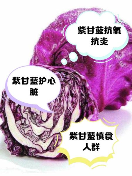 紫甘蓝不能和什么一起吃_紫甘蓝最佳搭配有哪些-第3张图片-山城妙识 紫甘蓝不能和什么一起吃_紫甘蓝最佳搭配有哪些-第3张图片-山城妙识