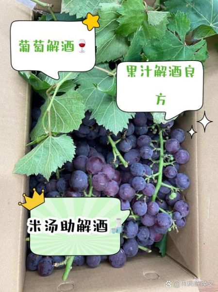 吃什么能解酒_最快解酒的食物有哪些-第1张图片-山城妙识 吃什么能解酒_最快解酒的食物有哪些-第1张图片-山城妙识