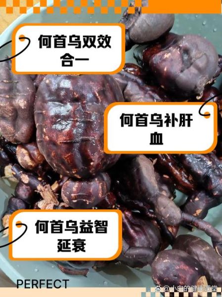 首乌的功效与作用吃法_何首乌怎么吃最好-第3张图片-山城妙识 首乌的功效与作用吃法_何首乌怎么吃最好-第3张图片-山城妙识