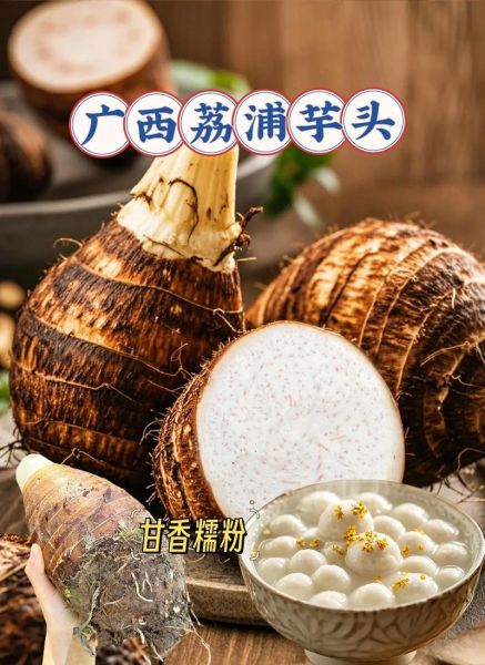 广西荔浦芋头什么时候上市_荔浦芋头上市时间-第1张图片-山城妙识