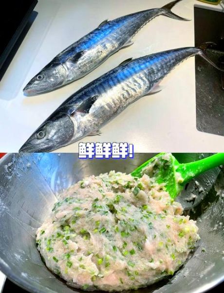 鲅鱼白菜饺子馅怎么做_鲅鱼饺子馅去腥技巧-第3张图片-山城妙识 鲅鱼白菜饺子馅怎么做_鲅鱼饺子馅去腥技巧-第3张图片-山城妙识