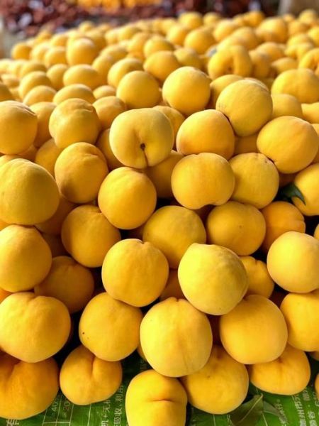 黄桃图库污是什么_如何安全访问黄桃图库污-第1张图片-山城妙识 黄桃图库污是什么_如何安全访问黄桃图库污-第1张图片-山城妙识