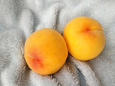 黄桃图库污是什么_如何安全访问黄桃图库污-第3张图片-山城妙识 黄桃图库污是什么_如何安全访问黄桃图库污-第3张图片-山城妙识