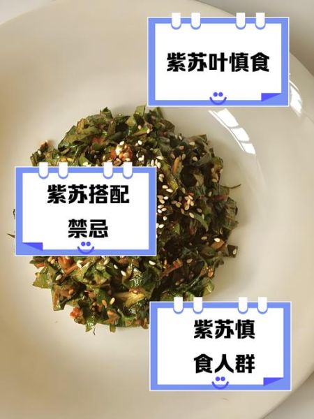 苏子叶不适合哪些人吃_孕妇能吃苏子叶吗-第1张图片-山城妙识 苏子叶不适合哪些人吃_孕妇能吃苏子叶吗-第1张图片-山城妙识