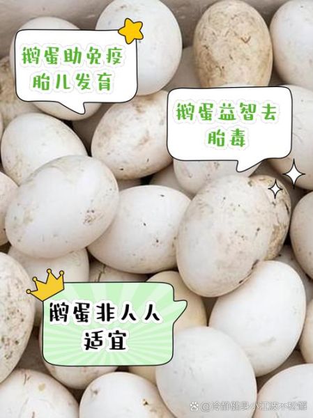 鹅蛋的禁忌人群有哪些_鹅蛋吃多了有什么副作用-第1张图片-山城妙识