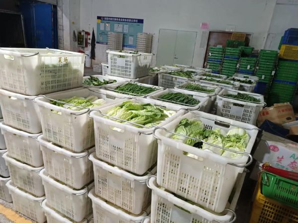 蔬菜配送公司需要什么资质_如何起步-第1张图片-山城妙识 蔬菜配送公司需要什么资质_如何起步-第1张图片-山城妙识