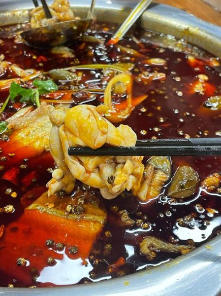 冷锅鱼怎么做才正宗_正宗冷锅鱼做法视频教程-第2张图片-山城妙识 冷锅鱼怎么做才正宗_正宗冷锅鱼做法视频教程-第2张图片-山城妙识