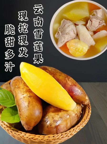 雪莲果的正确吃法_雪莲果的功效与作用-第3张图片-山城妙识 雪莲果的正确吃法_雪莲果的功效与作用-第3张图片-山城妙识