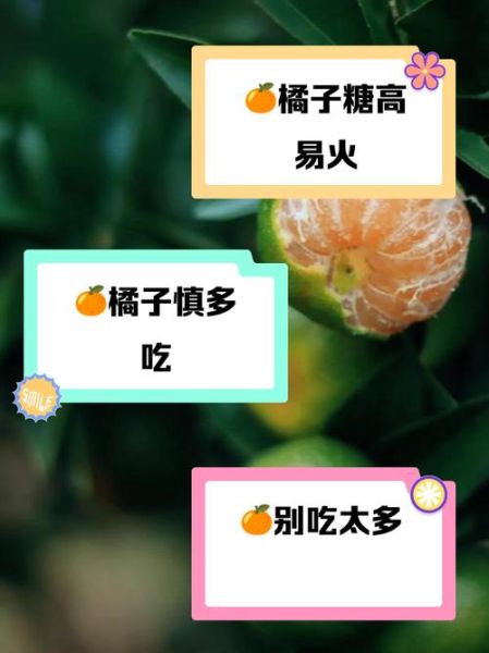 桔子吃多了会上火吗_桔子的功效与作用-第1张图片-山城妙识 桔子吃多了会上火吗_桔子的功效与作用-第1张图片-山城妙识