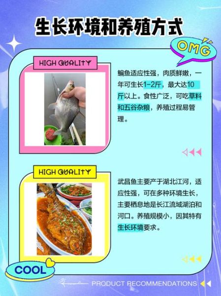 鳊鱼和武昌鱼的区别图_如何一眼分辨-第1张图片-山城妙识