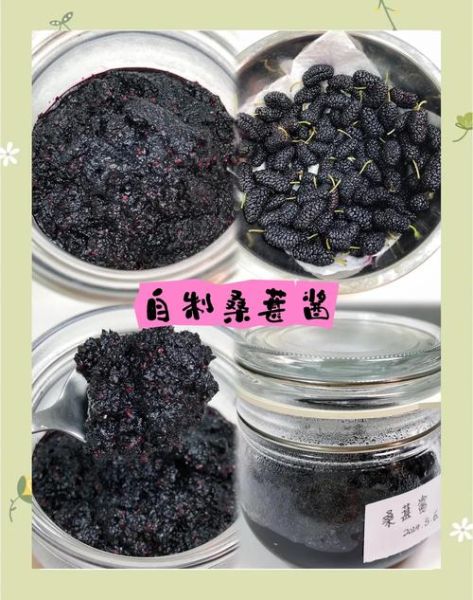 桑葚酱的功效与作用_桑葚酱怎么吃最养生-第1张图片-山城妙识