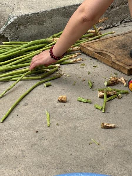 霉苋菜梗怎么做_霉苋菜梗要发酵多久-第3张图片-山城妙识 霉苋菜梗怎么做_霉苋菜梗要发酵多久-第3张图片-山城妙识