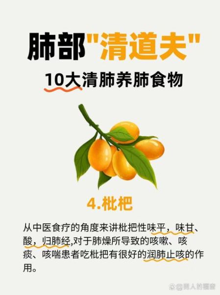 清肺补肺的食物有哪些_怎么吃最有效-第2张图片-山城妙识