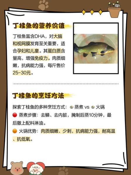 丁桂鱼的营养价值_丁桂鱼适合什么人吃-第1张图片-山城妙识 丁桂鱼的营养价值_丁桂鱼适合什么人吃-第1张图片-山城妙识