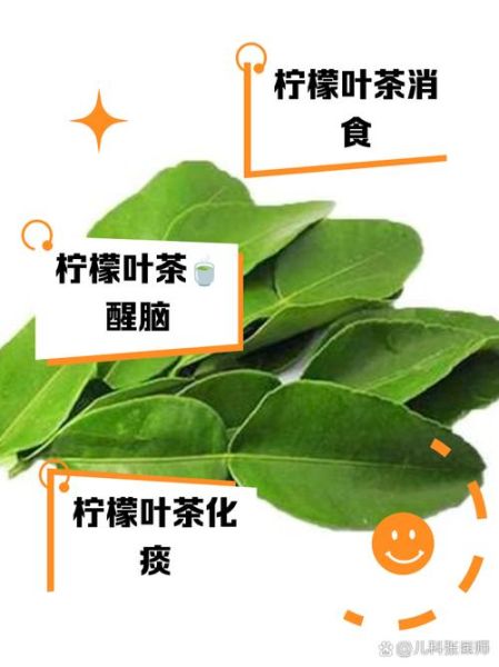 柠檬叶子图片_如何辨别真假-第3张图片-山城妙识