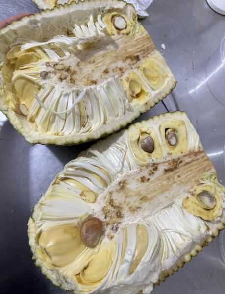 菠萝蜜烂了一角还能吃吗_怎么判断坏掉部分是否蔓延-第1张图片-山城妙识 菠萝蜜烂了一角还能吃吗_怎么判断坏掉部分是否蔓延-第1张图片-山城妙识