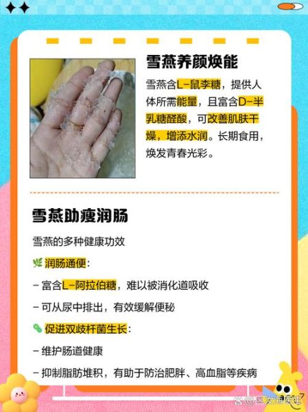 雪燕的功效与作用禁忌_孕妇能吃雪燕吗-第1张图片-山城妙识 雪燕的功效与作用禁忌_孕妇能吃雪燕吗-第1张图片-山城妙识