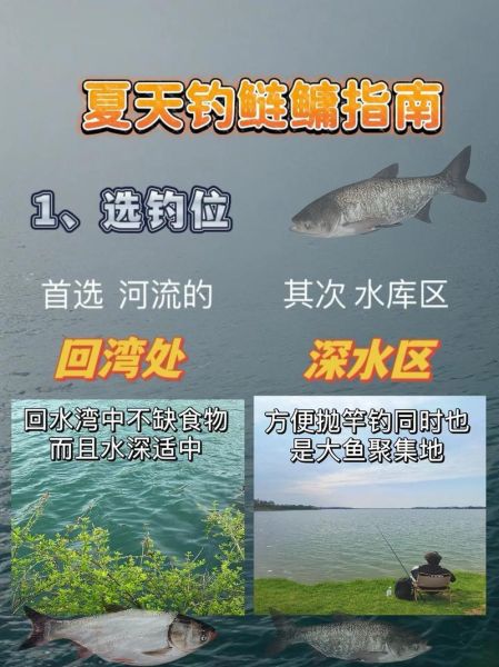 水深6一7米钓鲢鳙应该钓多深_最佳钓层怎么找-第1张图片-山城妙识 水深6一7米钓鲢鳙应该钓多深_最佳钓层怎么找-第1张图片-山城妙识
