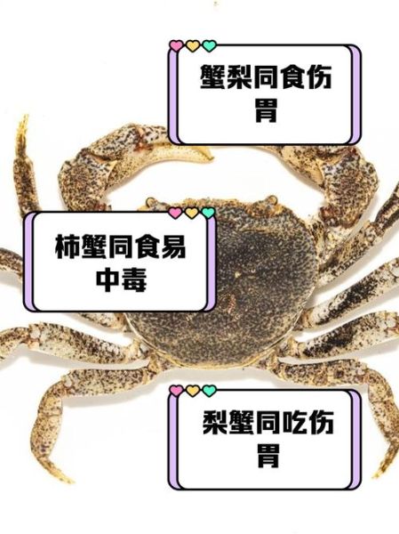 螃蟹不能和什么一起吃_吃螃蟹的禁忌食物有哪些-第2张图片-山城妙识