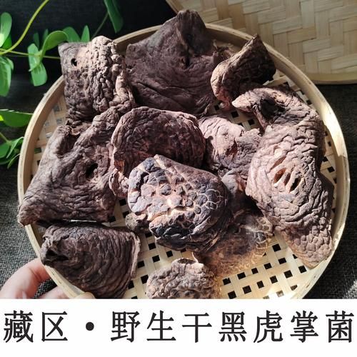 黑虎掌菌炖汤的做法_黑虎掌菌炖汤怎么做好喝-第1张图片-山城妙识 黑虎掌菌炖汤的做法_黑虎掌菌炖汤怎么做好喝-第1张图片-山城妙识