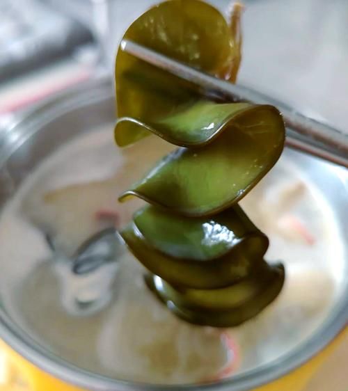 海木耳是什么_海木耳怎么泡发才干净-第1张图片-山城妙识