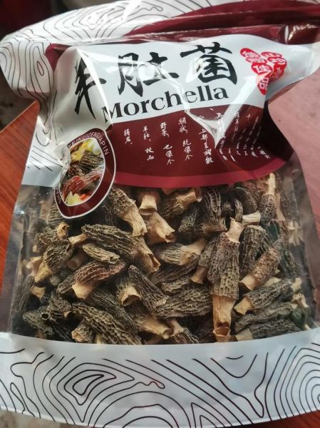 羊肚菌种子多少钱一斤_羊肚菌菌种价格行情-第1张图片-山城妙识